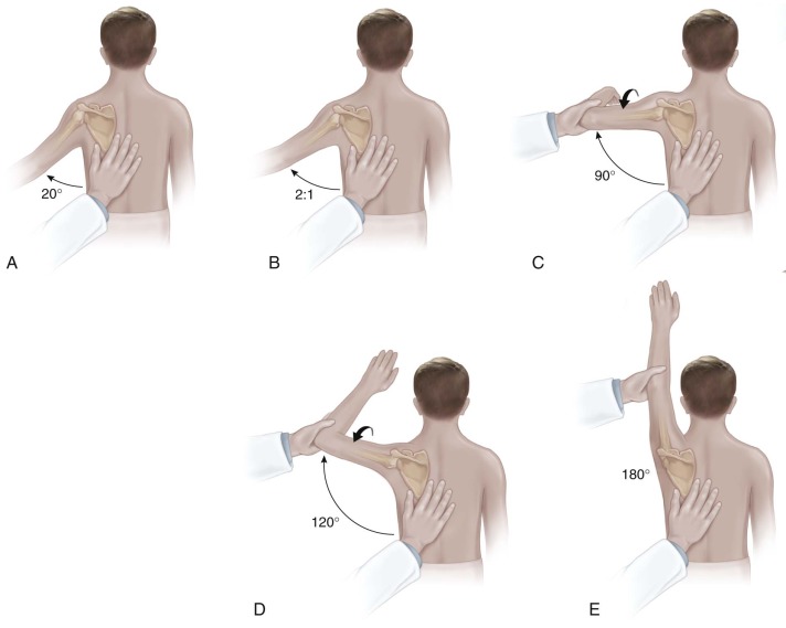 The Orthopaedic Examination A Comprehensive Overview Musculoskeletal Key