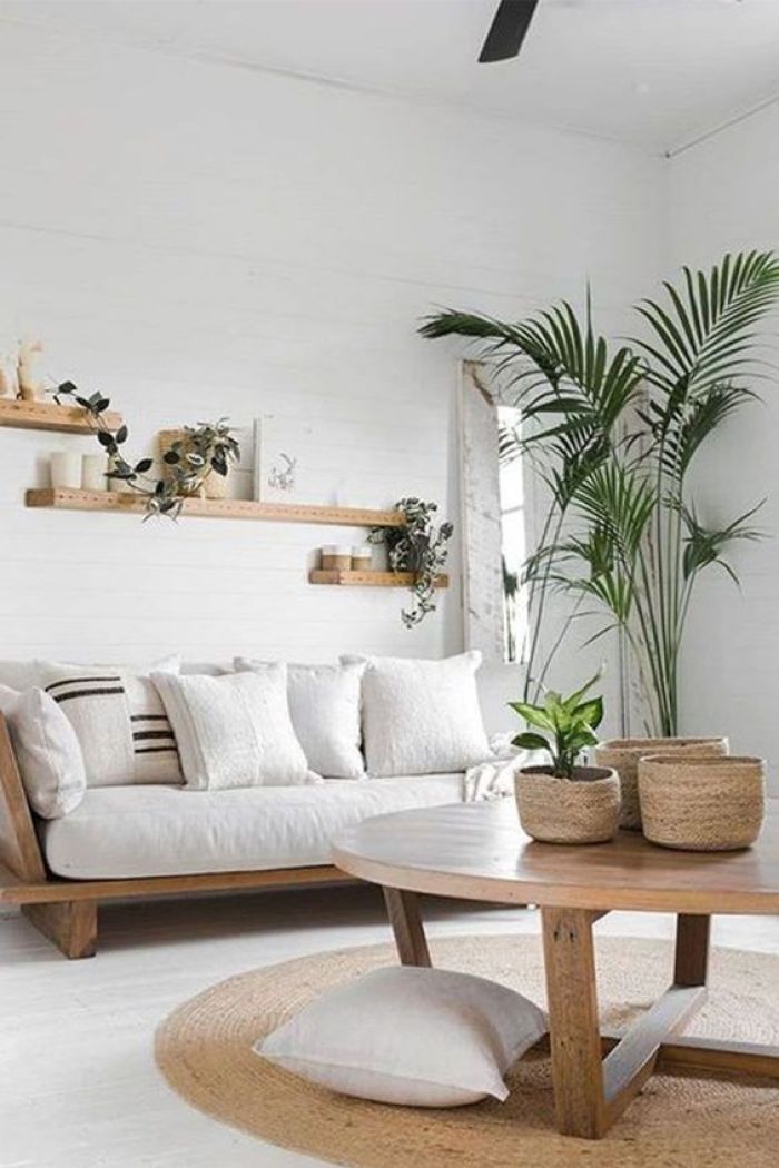 Minimalist Living Room With Plants Cozy Ideas For Small Minimalist