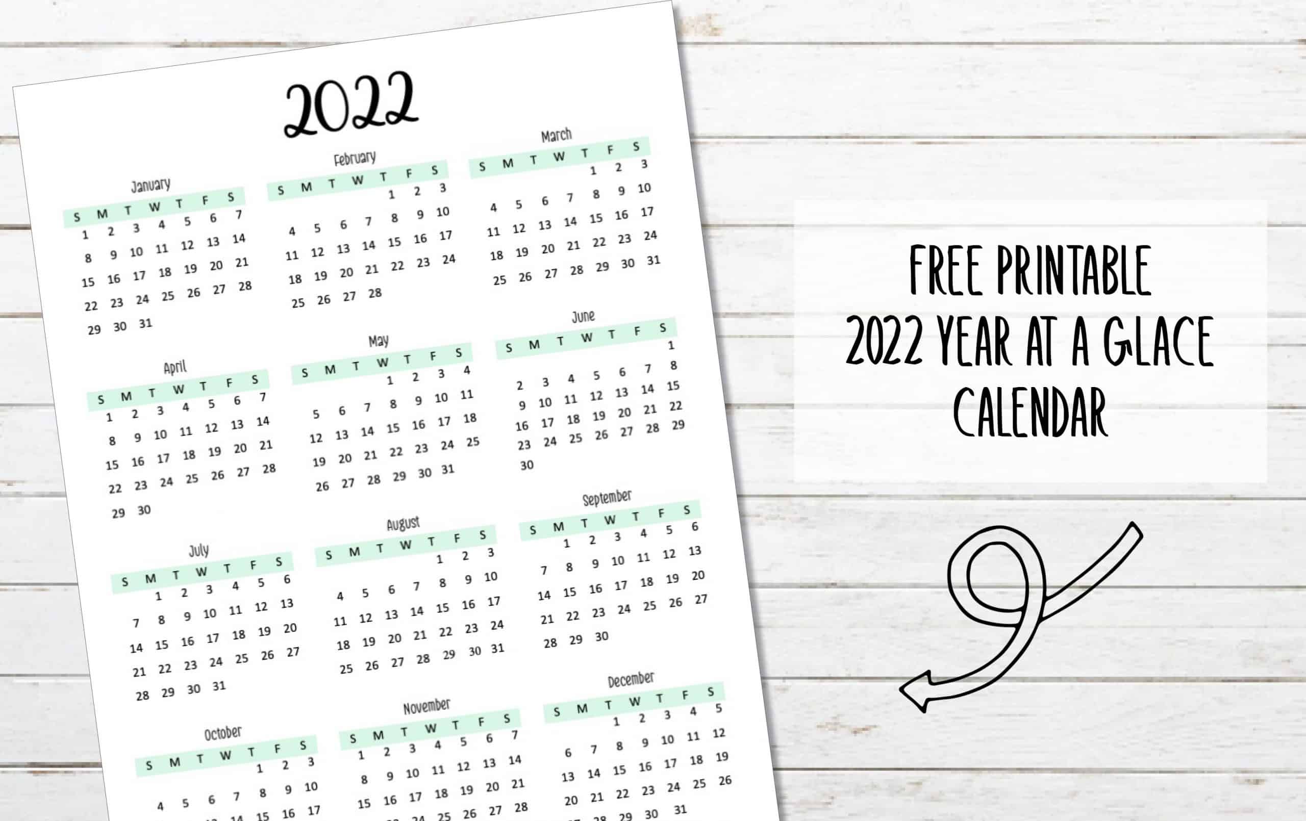 Printable Year At A Glance Calendar 2022 Printable Ca