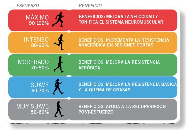 Pulsaciones Durante El Entrenamiento Guía Para Entenderlas