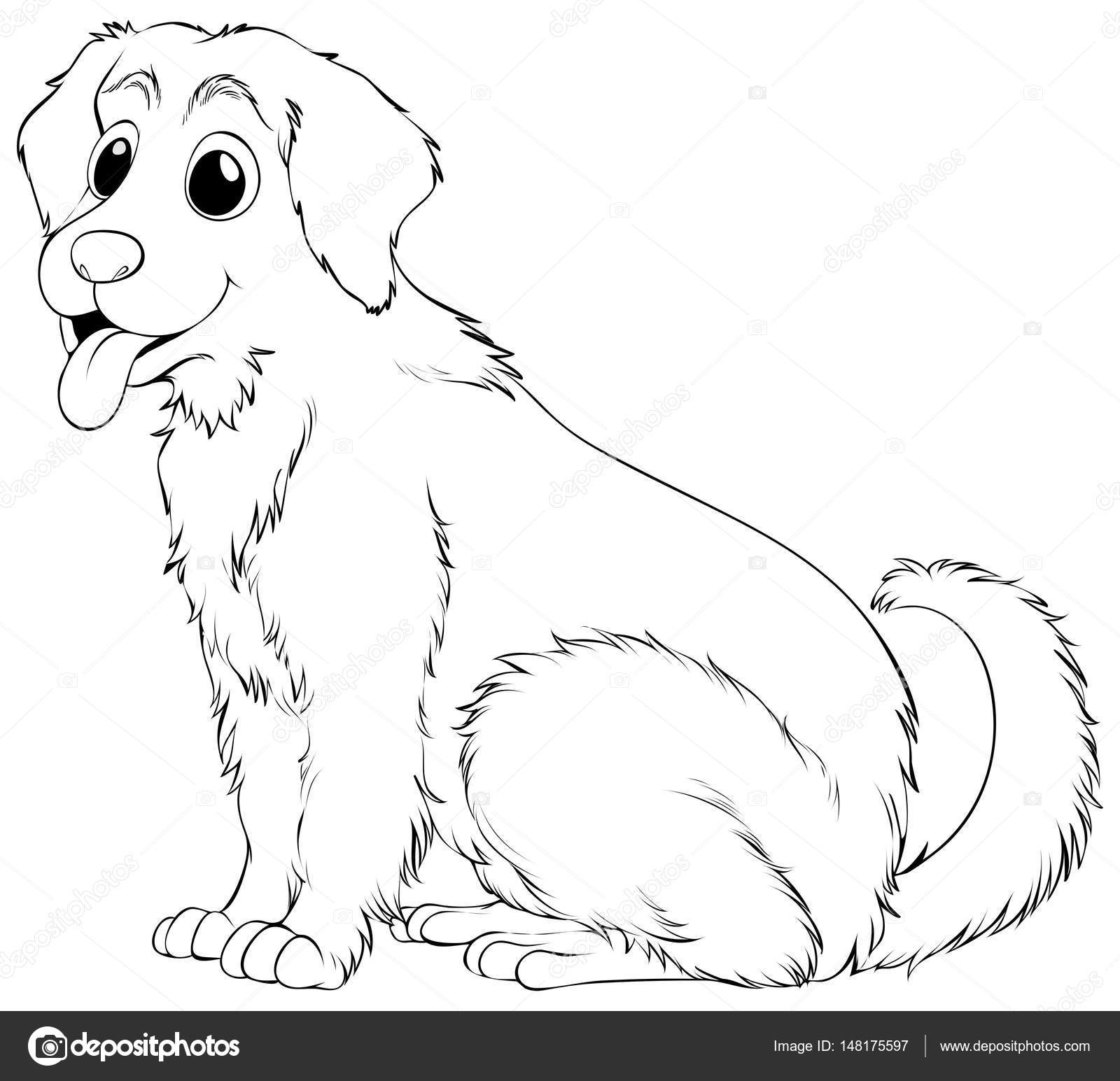 Dibujos De Perros Golden Para Colorear Para Colorear Images And Sexiz Pix