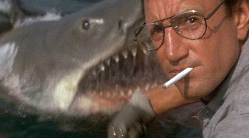 The Top 10 Best Shark Movies Stars And Popcorn