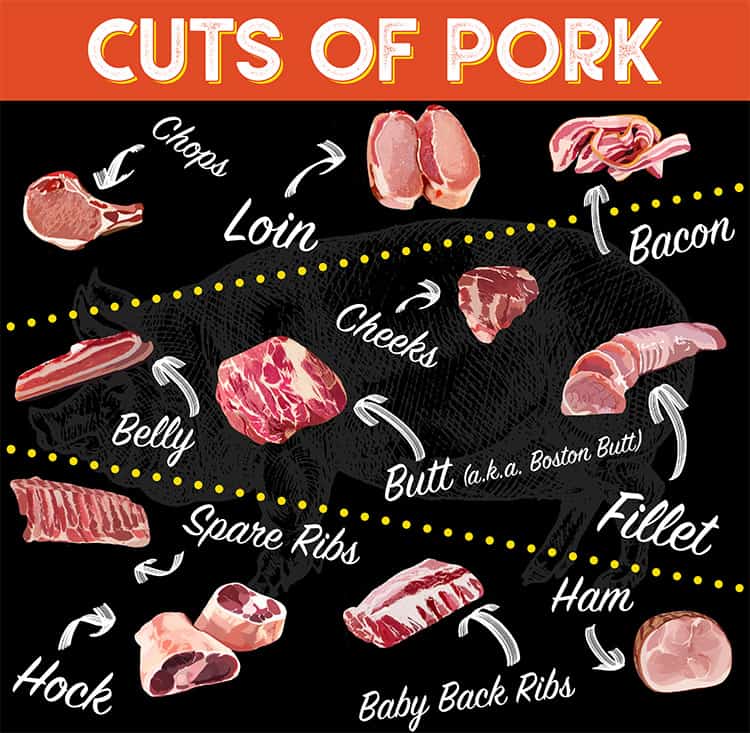 Pork Cuts Explained Ultimate Guide To Different Cuts Of 41 Off