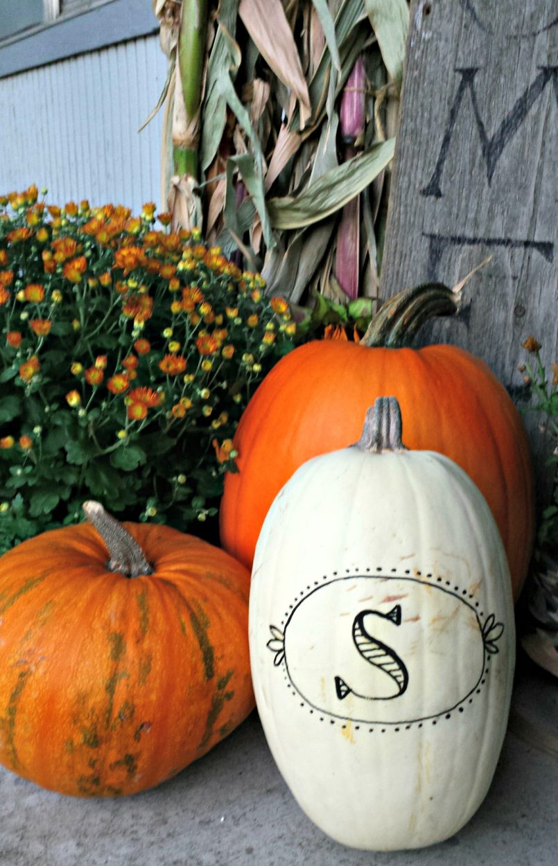 Five Minute Monogrammed Pumpkin Salvage Sister And Mister