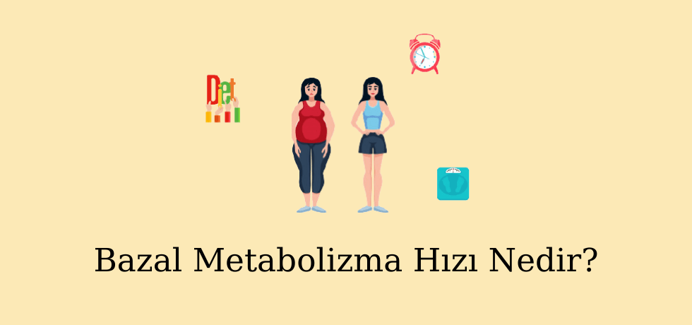 Bazal Metabolizma Hızı Nedir Nasıl Artar Senfitsin