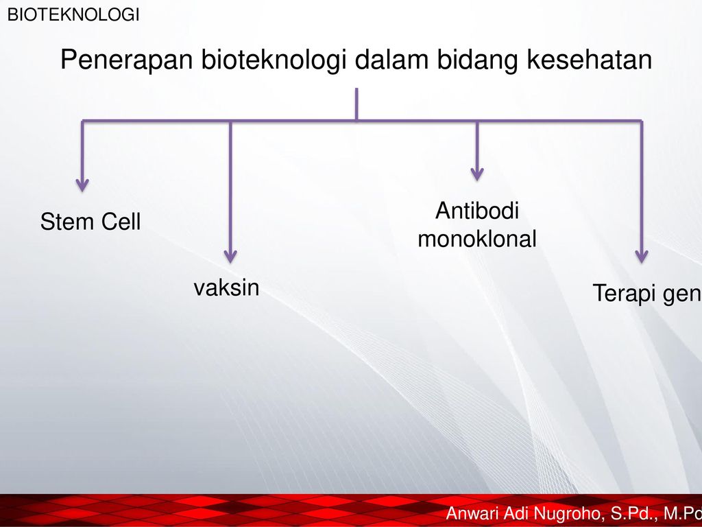 Contoh Bioteknologi Modern Pada Bidang Kesehatan Vira