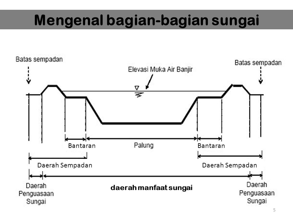 Fungsi Sempadan Situ Dan Sungai