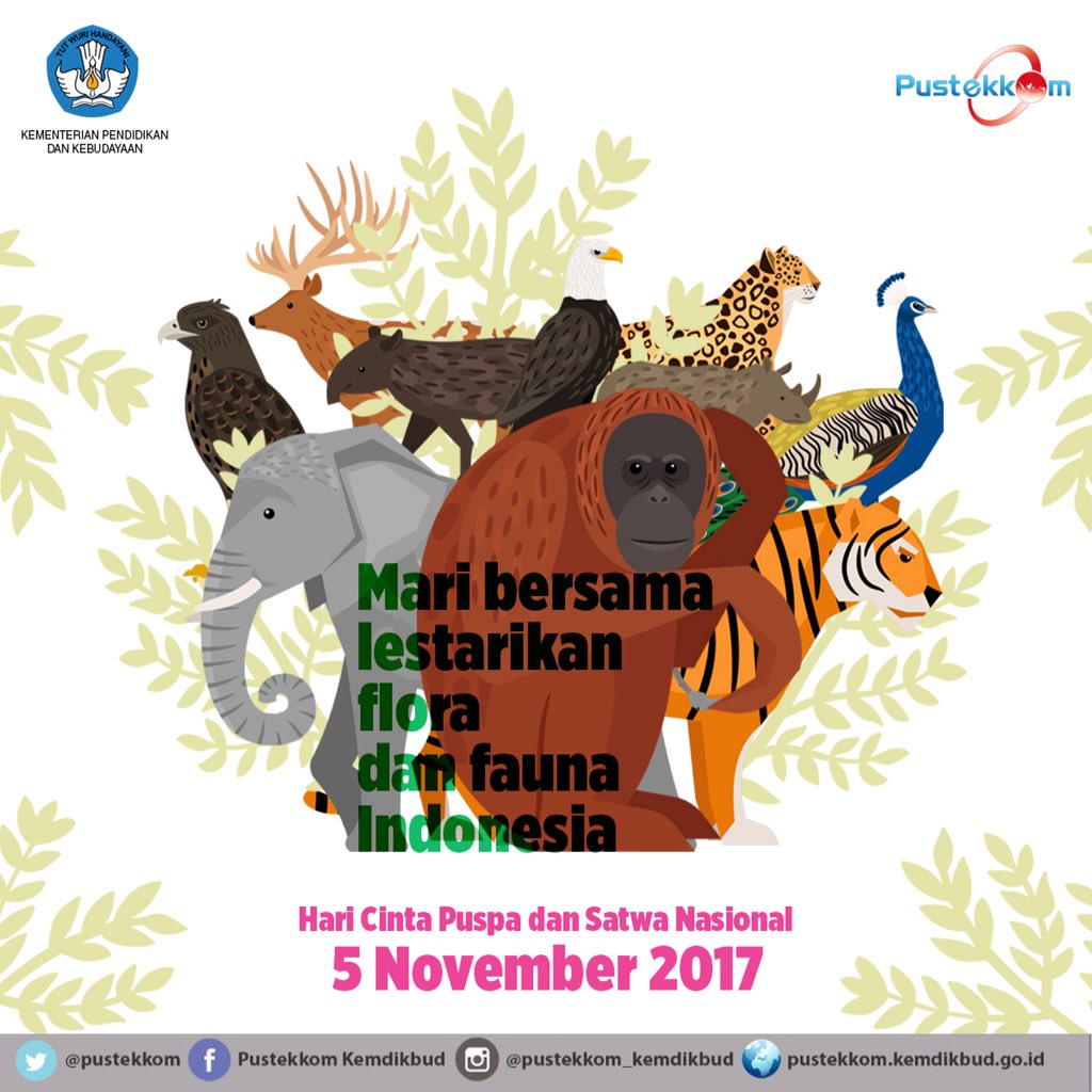 Poster Pelestarian Hewan Dan Tumbuhan Yang Mudah Digambar Dan Simple