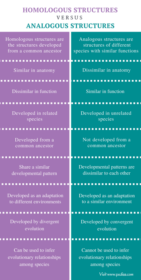 Difference Between Homologous And Analogous Structures Definition