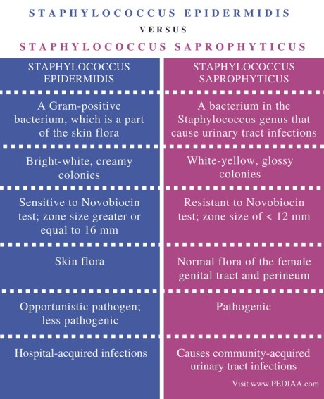 Difference Between Staphylococcus Epidermidis And Staphylococcus