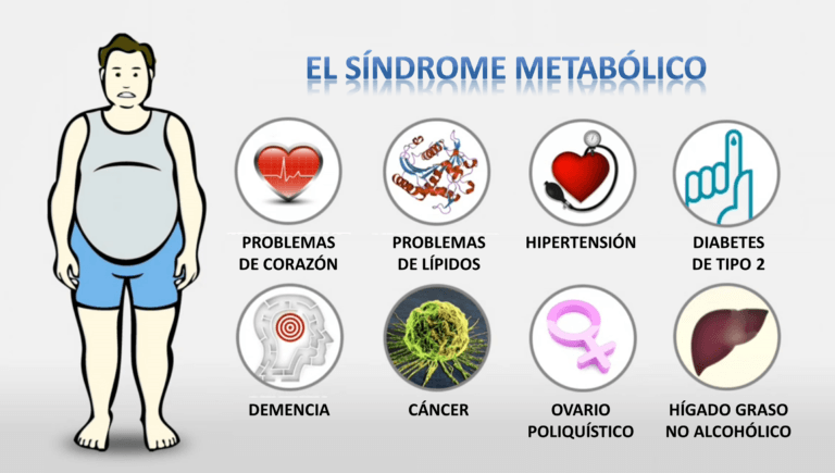 SÍndrome MetabÓlico Mind Map