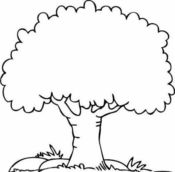 Printable Tree Coloring Page