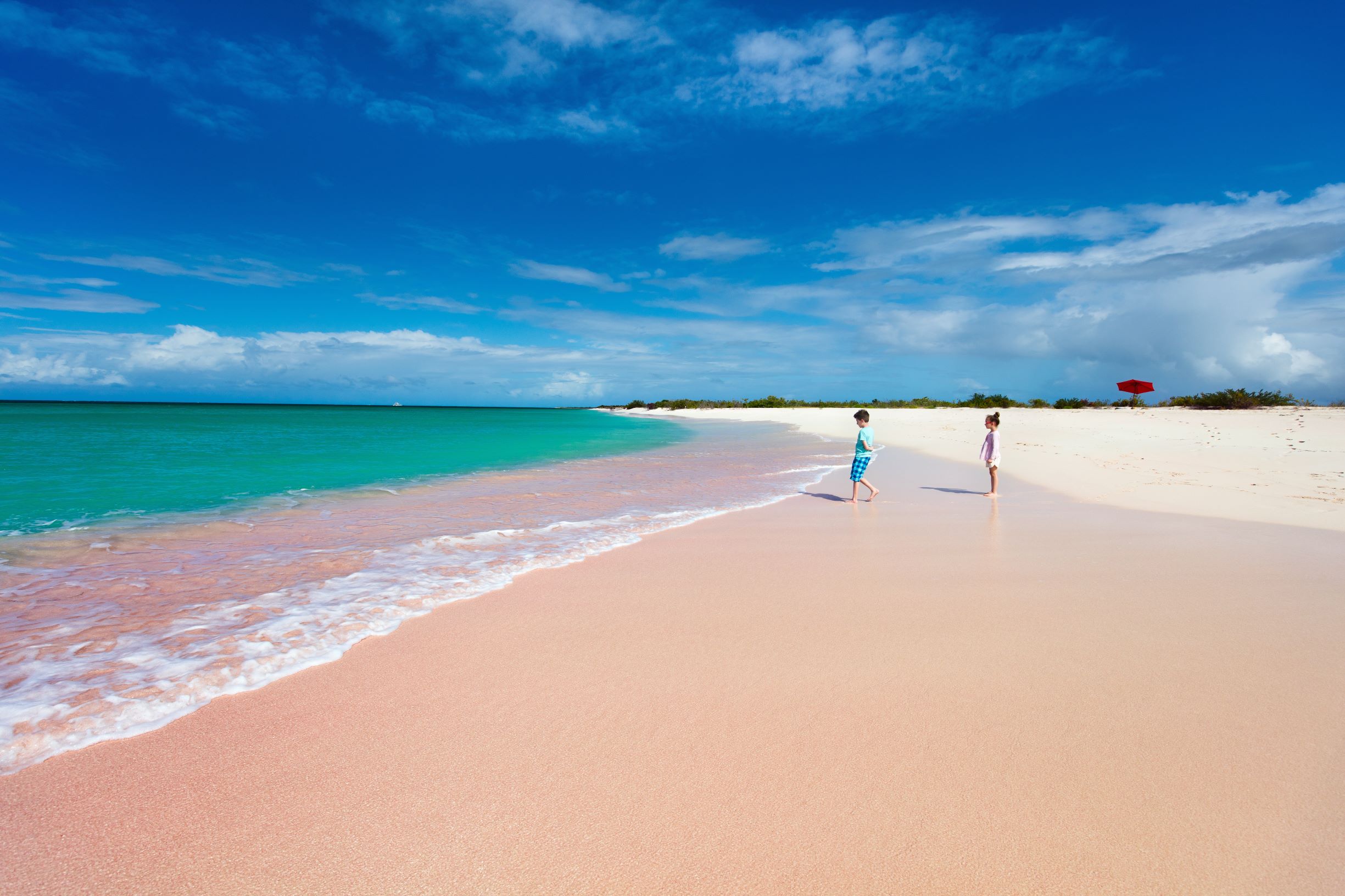 Think Pink Discover The Caribbeans Iconic Pink Sand Beaches Kenwood