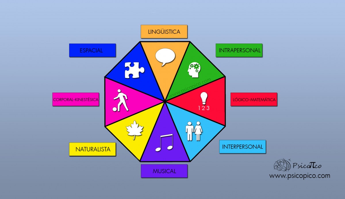 The Theory Of Multiple Intelligences By Gardner Psicopico