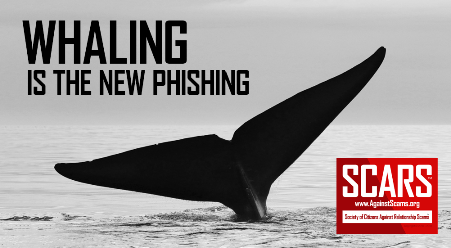 Scars™ Guide There Is A New Kind Of Phishing Called Whaling Scam Attacks