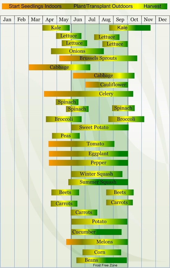 Planting Calendar 2024 Zone 8 February March 2024 Calendar