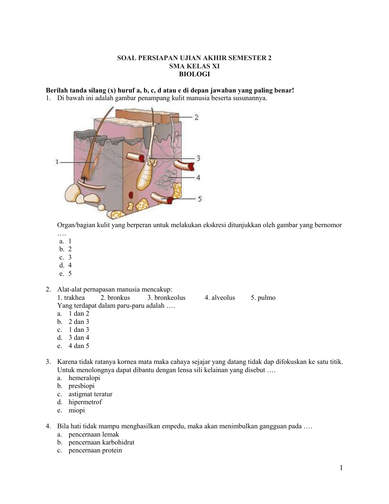 Soal Dan Jawaban Biologi Kelas Xi Semester 2 Sistem Pernapasan Contoh