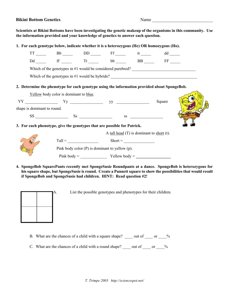 Spongebob Genetics 2 Quiz Answer Key › Athens Mutual Student Corner