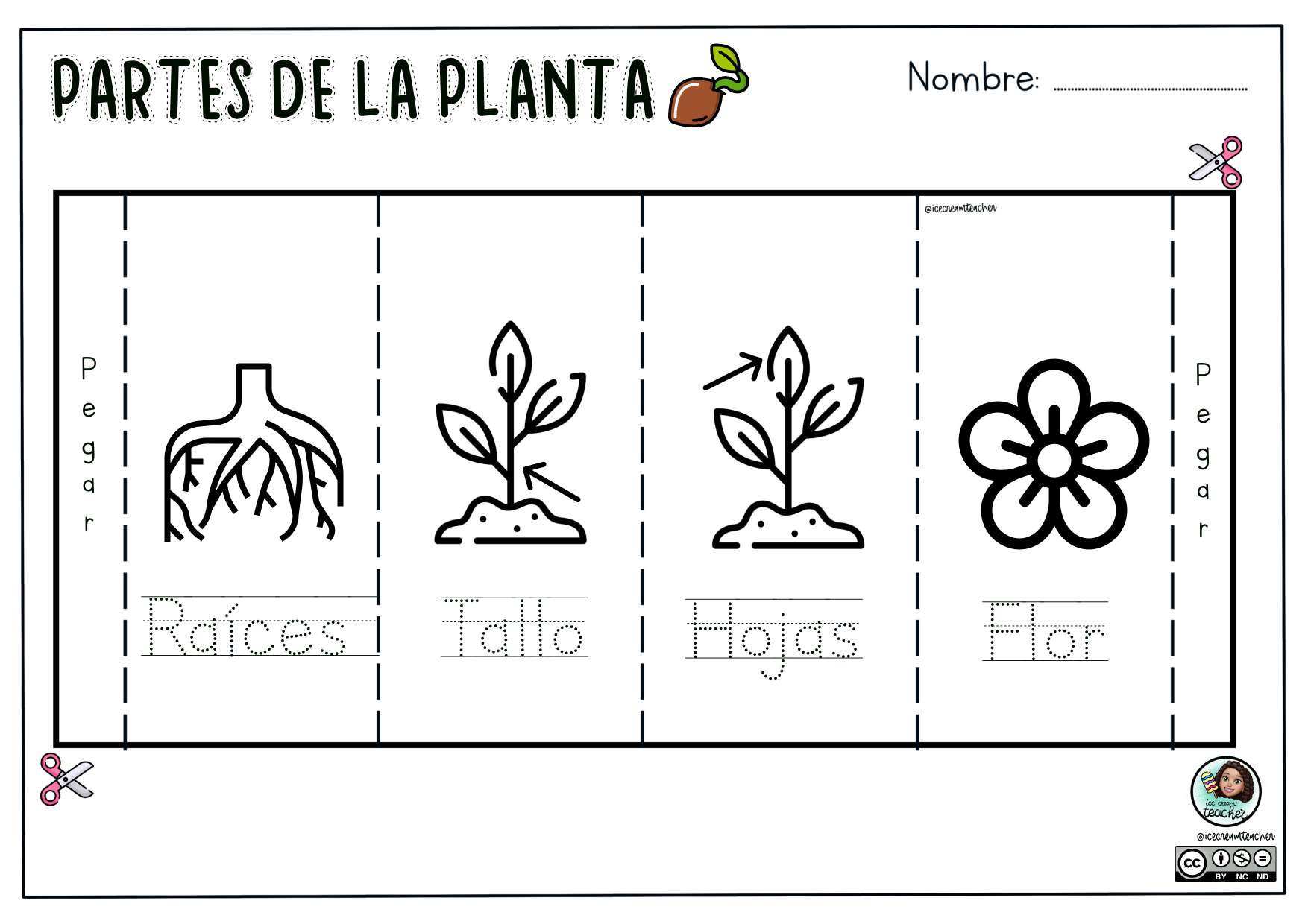 Las Plantas Foldables Recortes O Para Colorear Primer Ciclopage 0019