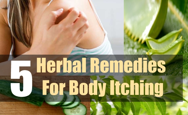 Five Easily Available Herbal Remedies For Body Itching Natural Home