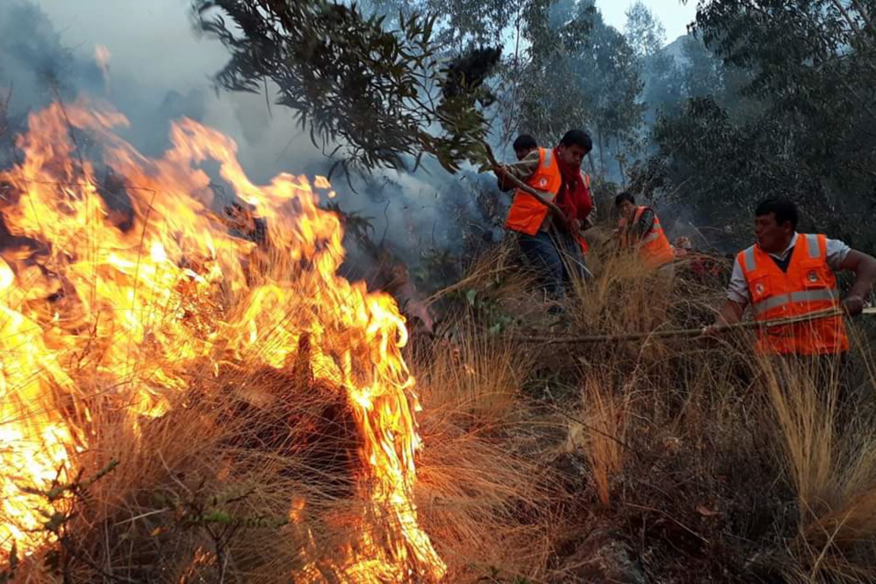 ¿cuáles Han Sido Los Avances En El último Año Para Reducir Los