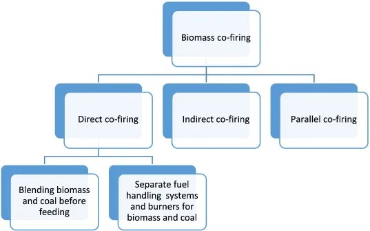 Cofiring Of Biomass Bioenergy Consult