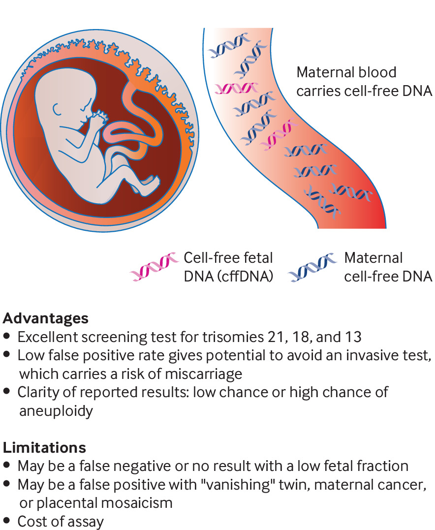 Genetic Testing Of Embryos Pros And Cons