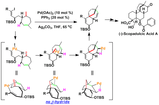 Mizoroki Heck Reaction Chem Station Int Ed