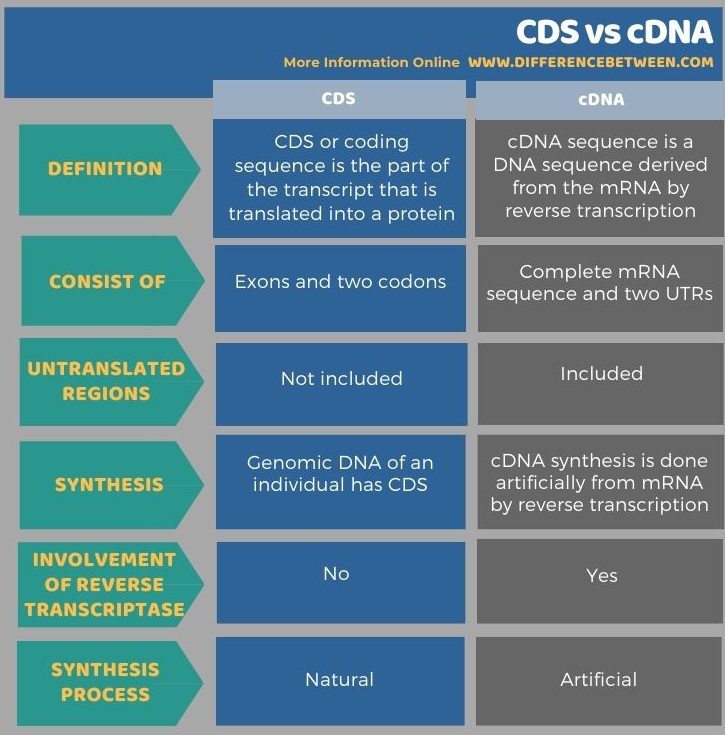 Difference Between Cds And Cdna Compare The Difference Between