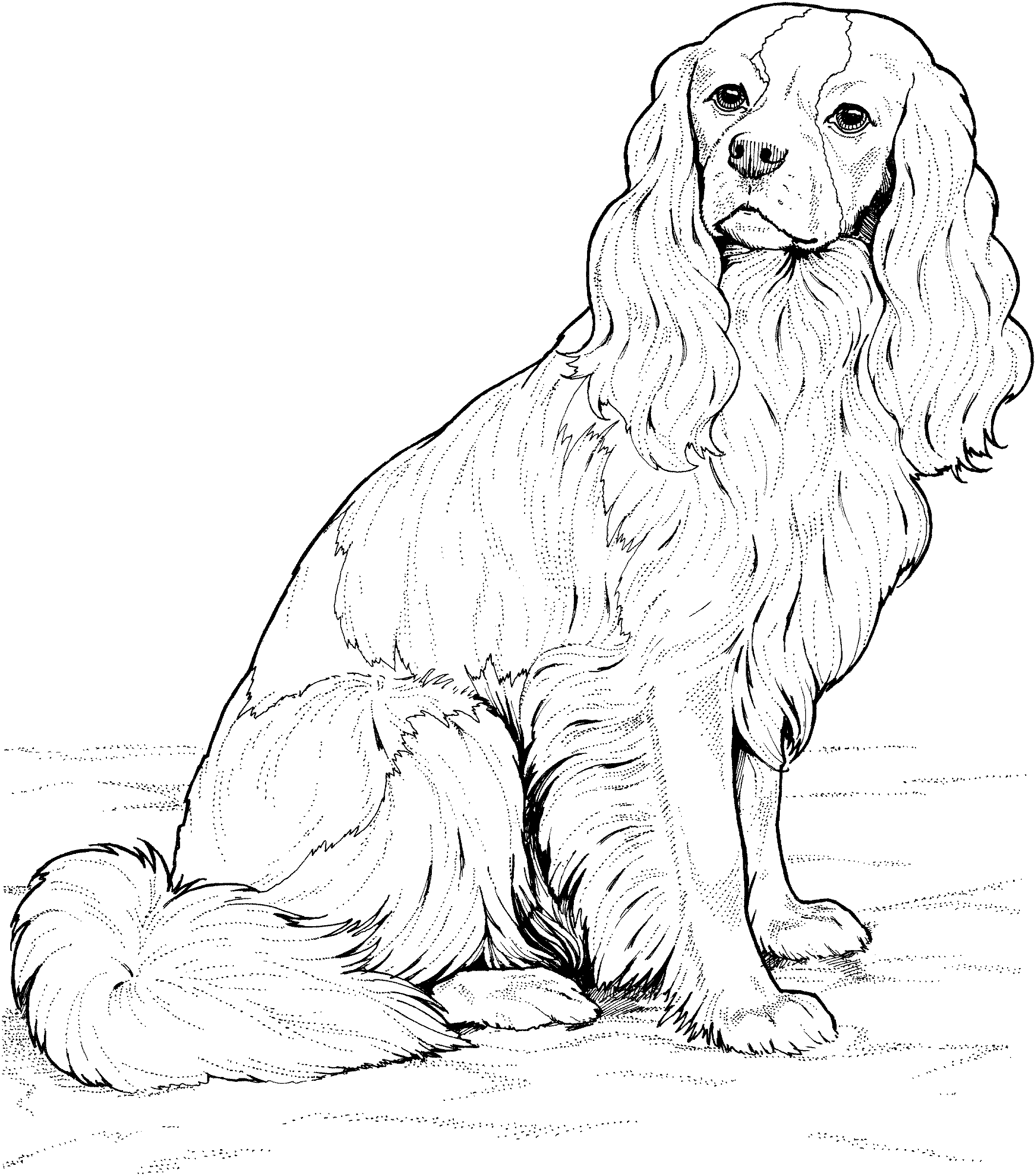 Coloring Pages Dog Printable