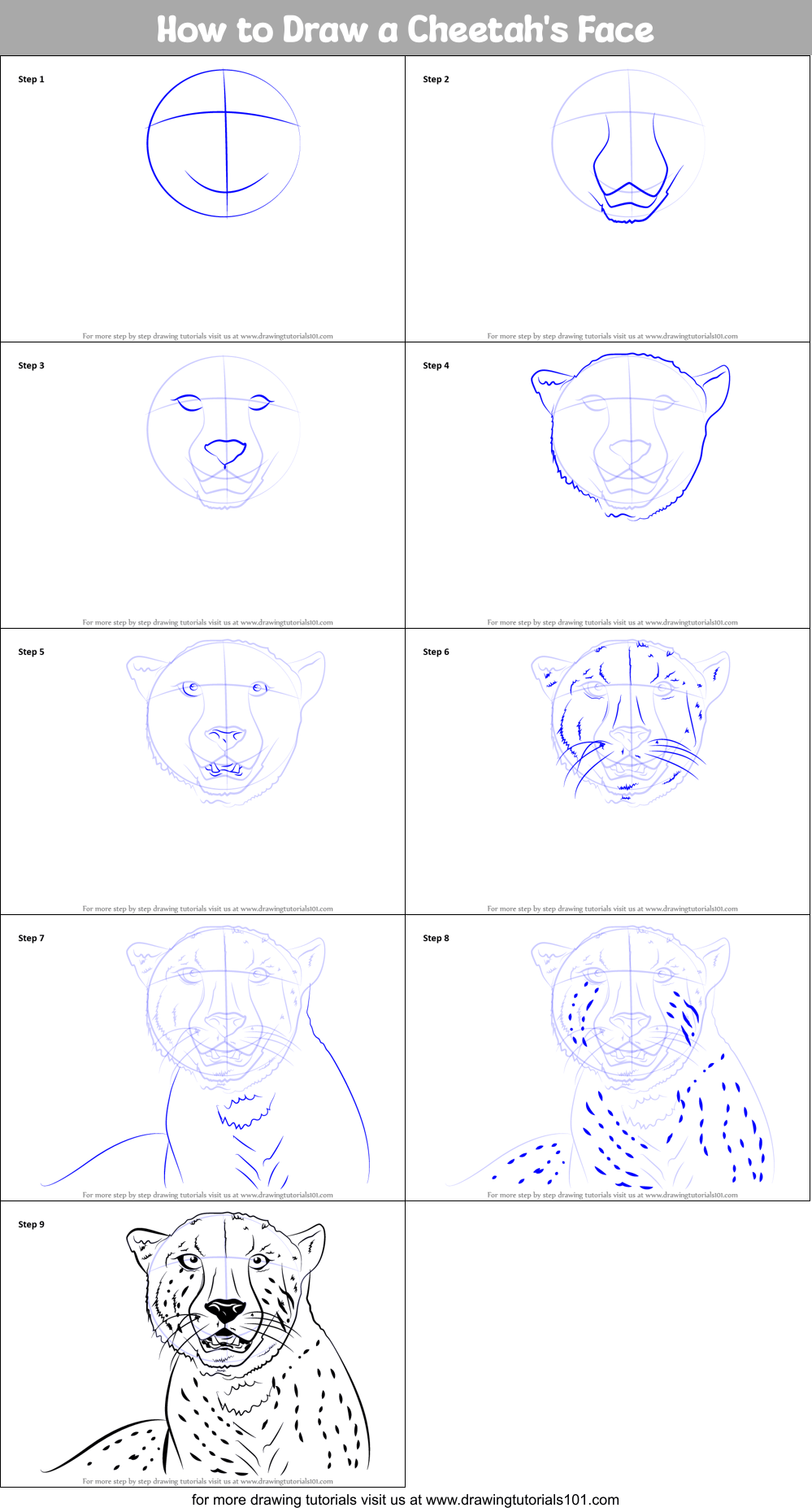 Step By Step How To Draw A Cheetah At Drawing Tutorials