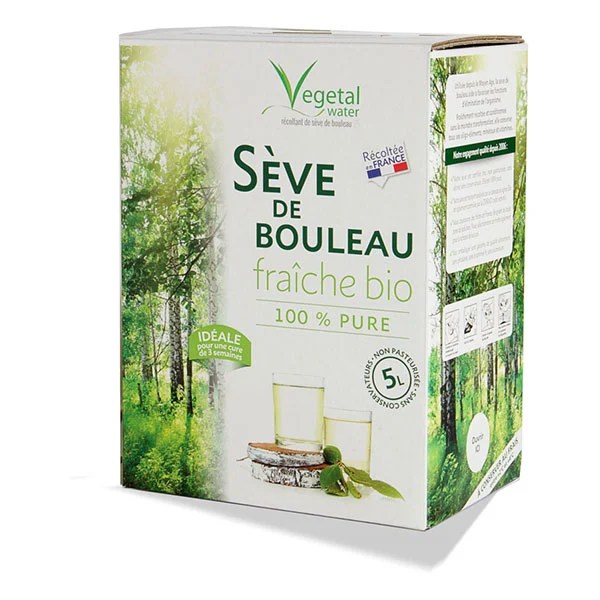 Printemps Les Bienfaits De La Sève De Bouleau Greenweez Magazine