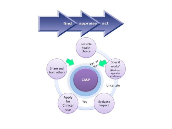 Casp Critical Appraisal Skills Programme For All The International