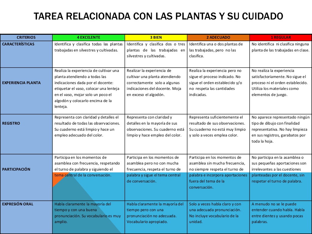 Rubrica Para Evaluar Una Tarea En Educación Infantil Ejemplo