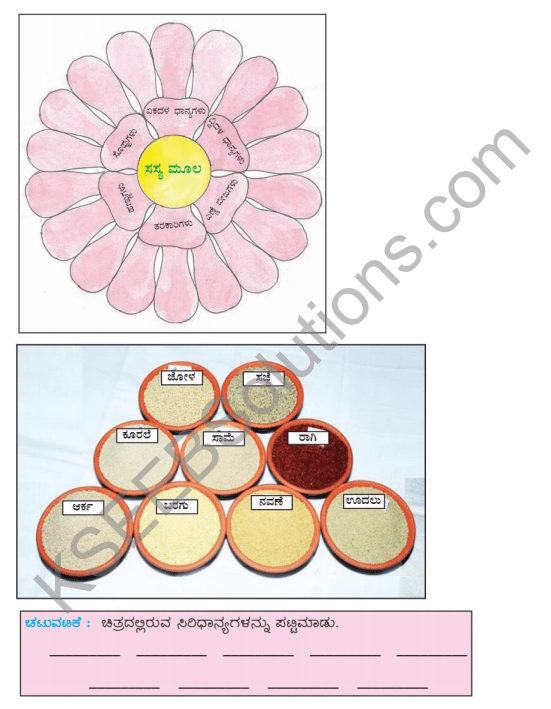 Kseeb Solutions For Class 5 Evs Chapter 9 Food Essence Of Life In