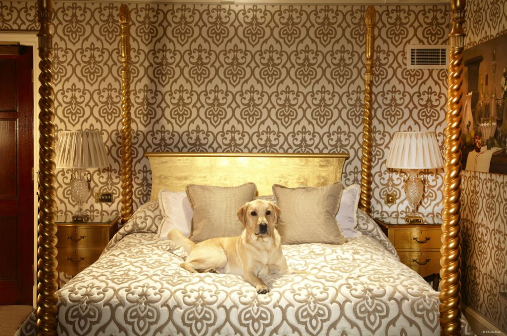 Top 10 Dog Friendly London Hotels Ldnfashion