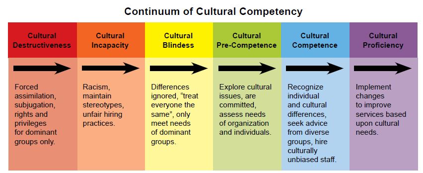 Cultural Competence Principles Importance Components Career Cliff