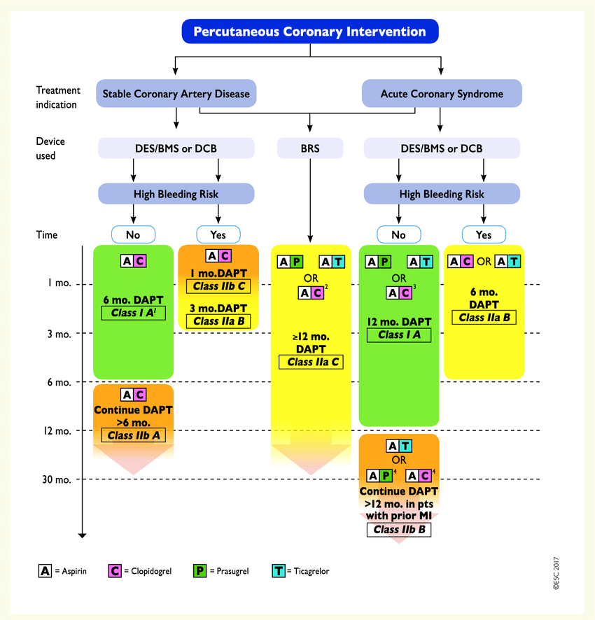 Dual Antiplatelet Therapy After Stent Guidelines