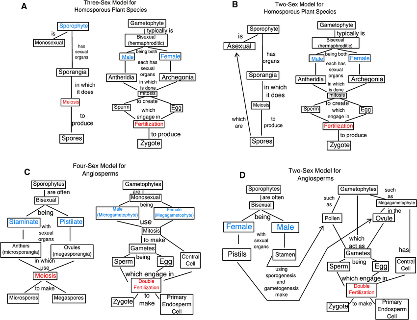 Concept Map Of Animal Reproduction Middle East Map