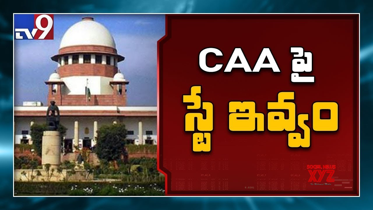 Sc Refuses Stay On Caa Centre Gets 4 Weeks To Reply Tv9 Video