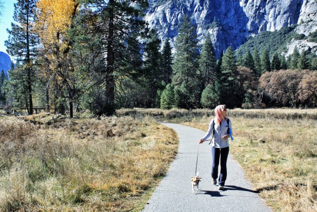 Pet Friendly Ideas Yosemite National Park Navigating Yosemite