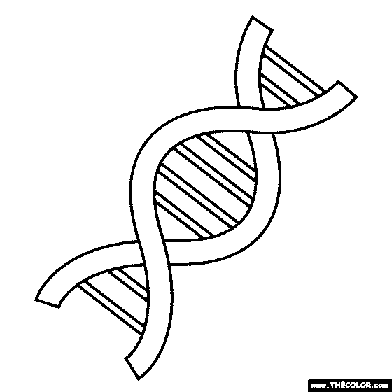 Dna Coloring Worksheet