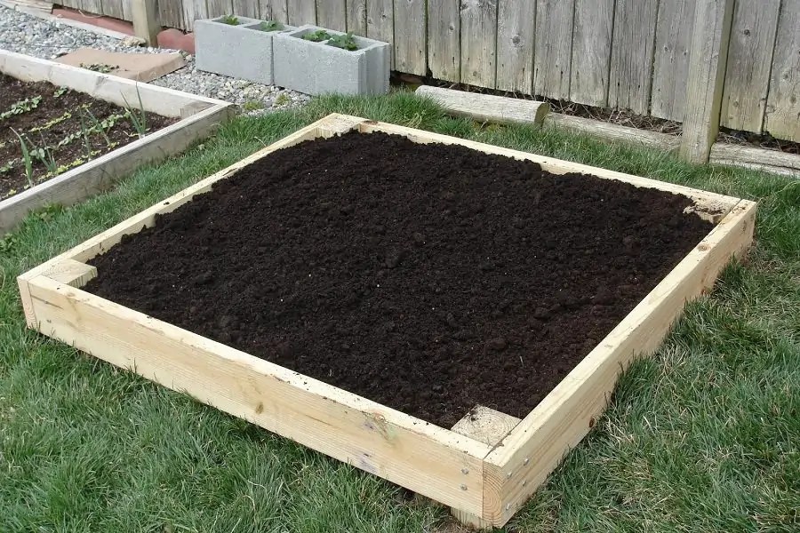 What Soil Is Best For Raised Garden Beds