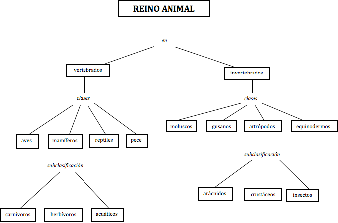 32 Mapa Mental De Los Cinco Reinos De La Naturaleza Png Campor Porn