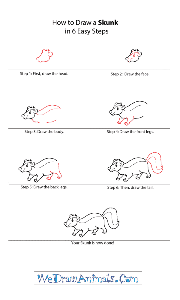 How To Draw A Skunk Step By Step At How To Draw