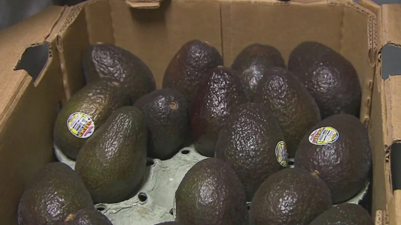 Fda Wash Your Avocados Before Eating Them Wish Tv Indianapolis