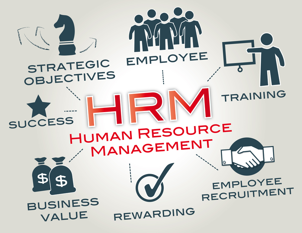 Hrm Functions Top 12 Functions Of An Human Resource Management