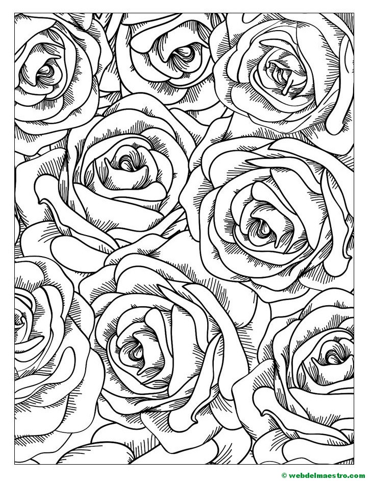 Dibujos De Flores Para Colorear Web Del Maestro