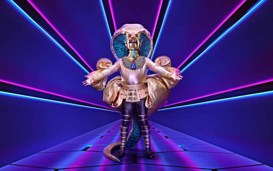 The Masked Singer Results Second Celebrity Contestant Revealed Who