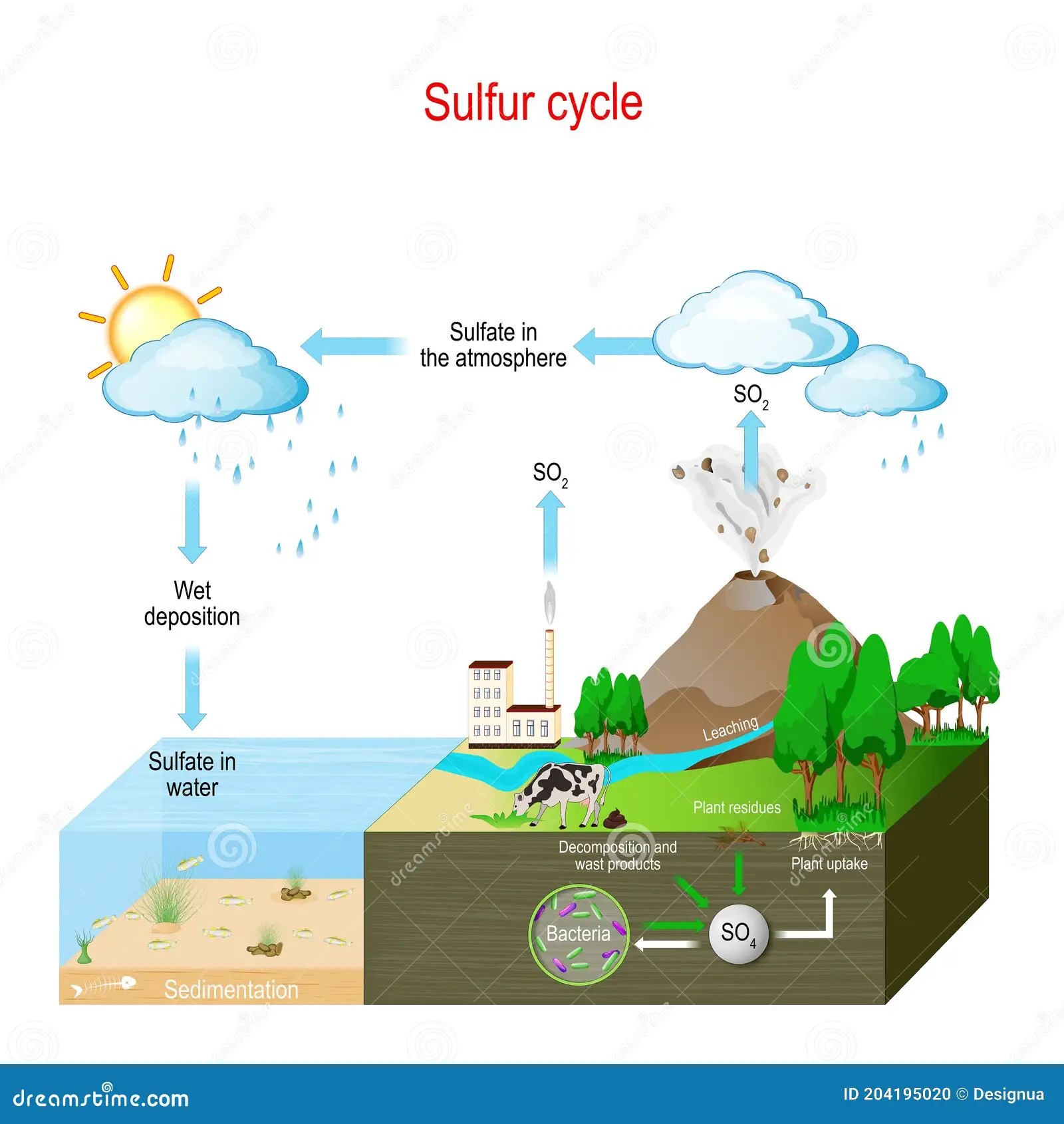 The Importance Of Understanding The Sulfur Cycle In Ap Environmental